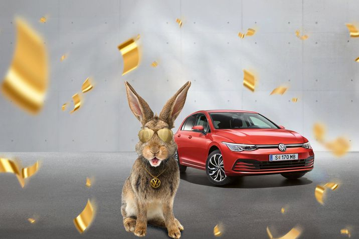 Hans Pugl Ges.m.b.H. | Der beliebteste Hase Österreichs ist zurück!